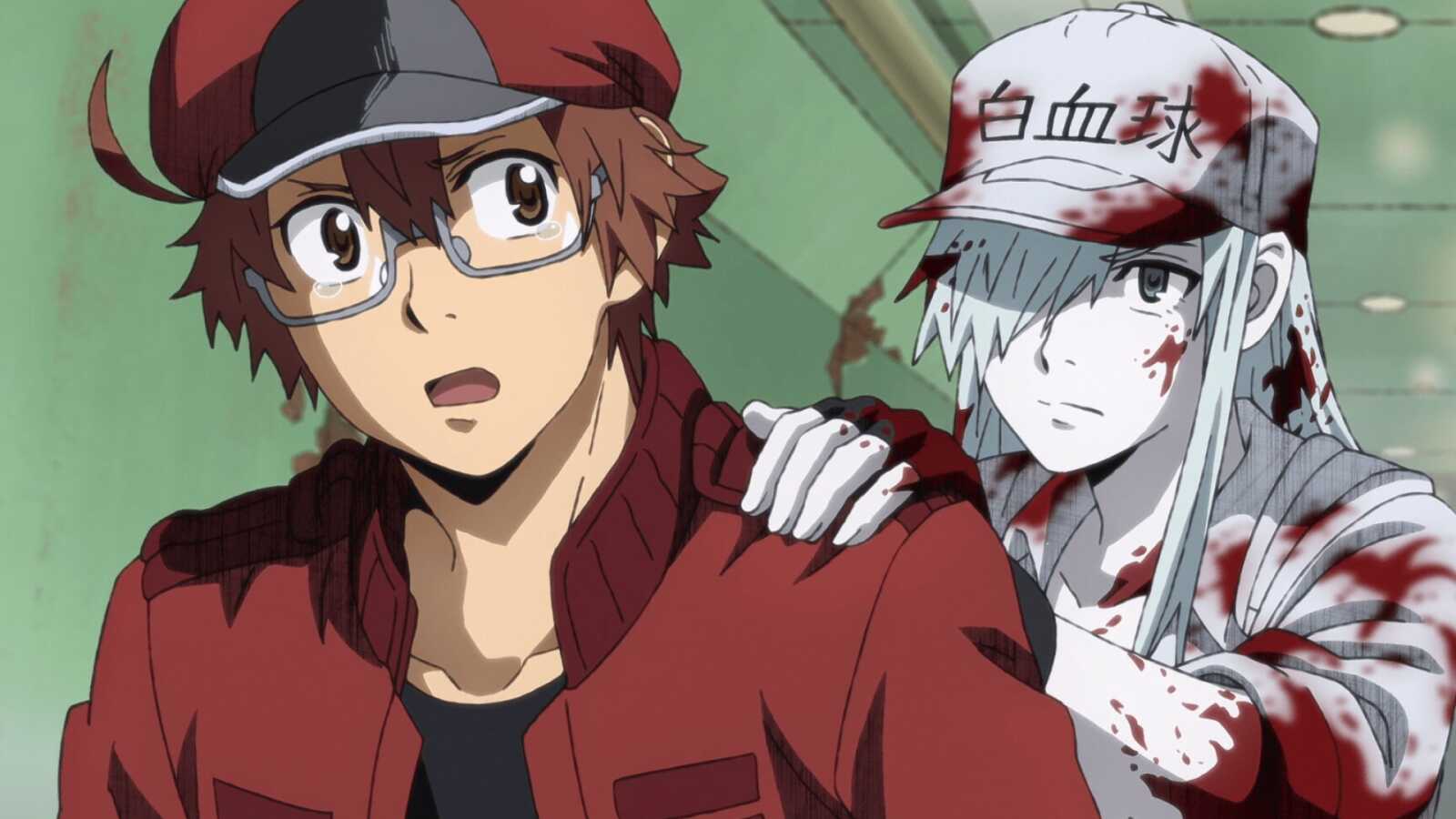 Cells at Work! Code Black Wallpapers (34 images) - WallpaperCat