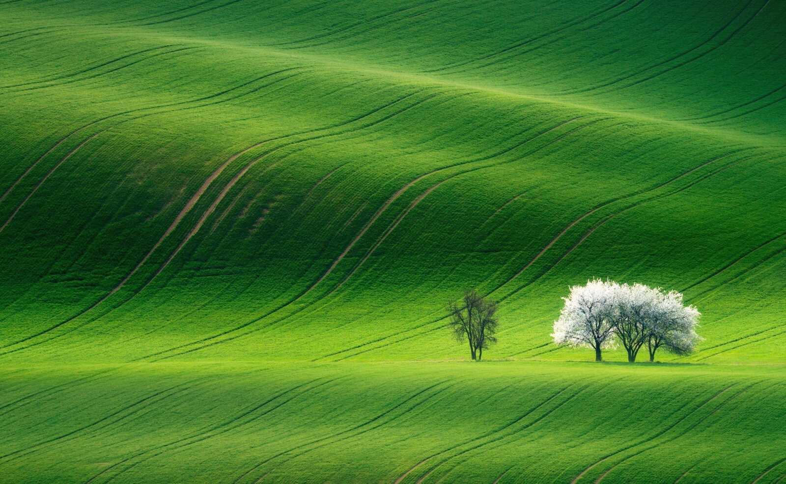 Green Hills Wallpapers (54 images) - WallpaperCat