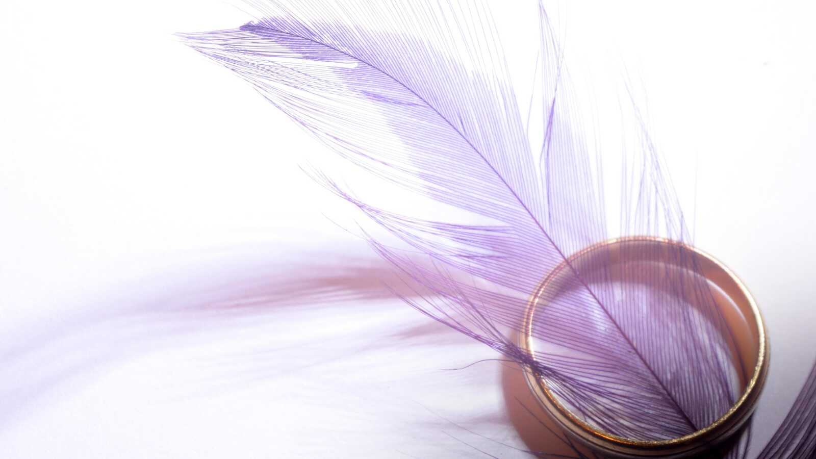 Feather Wallpapers (44 images) - WallpaperCat
