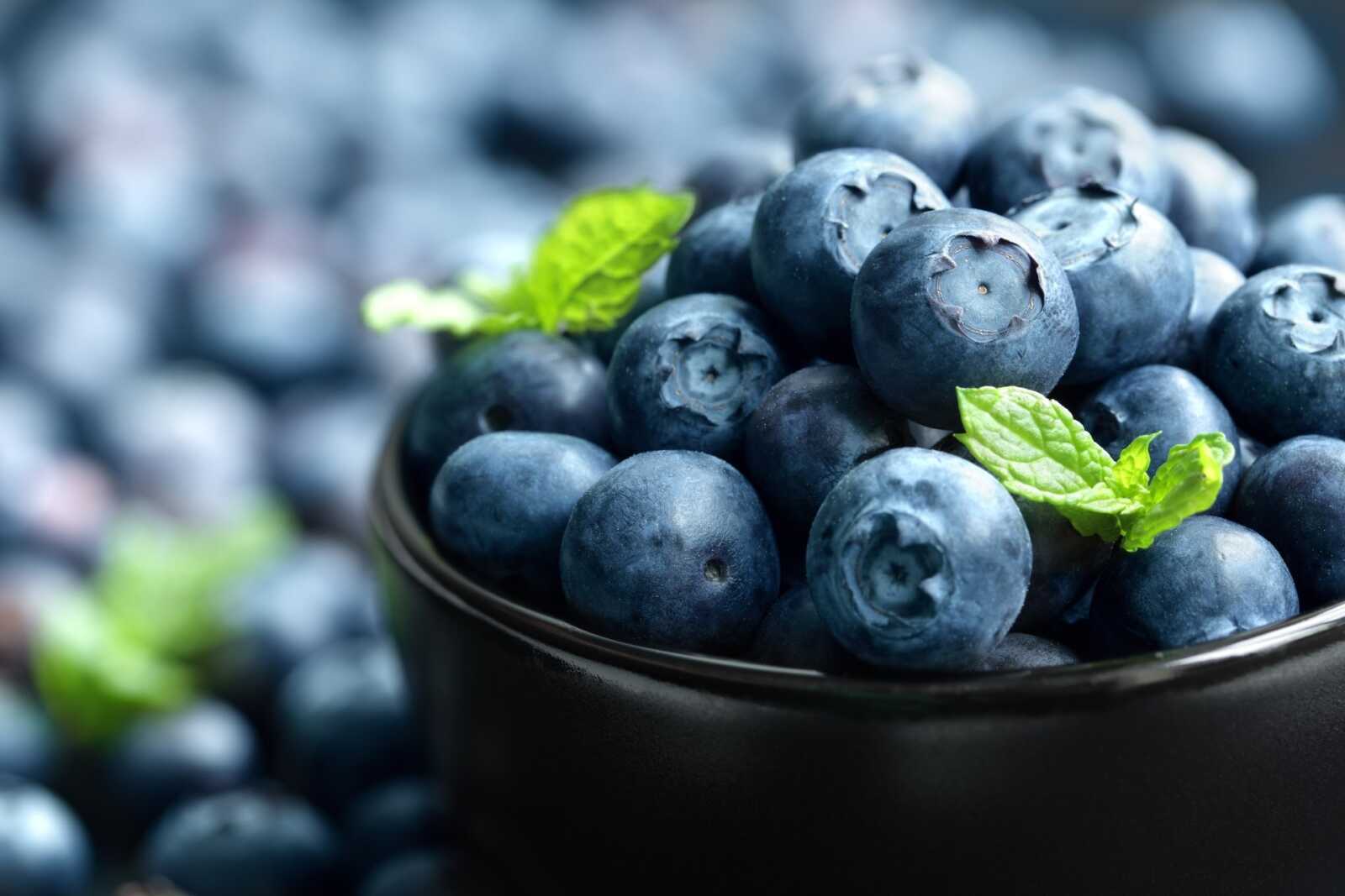 Blueberry Wallpapers (59 images) - WallpaperCat