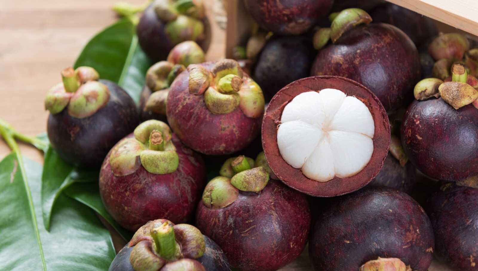 Mangosteen Wallpapers (29 images) - WallpaperCat
