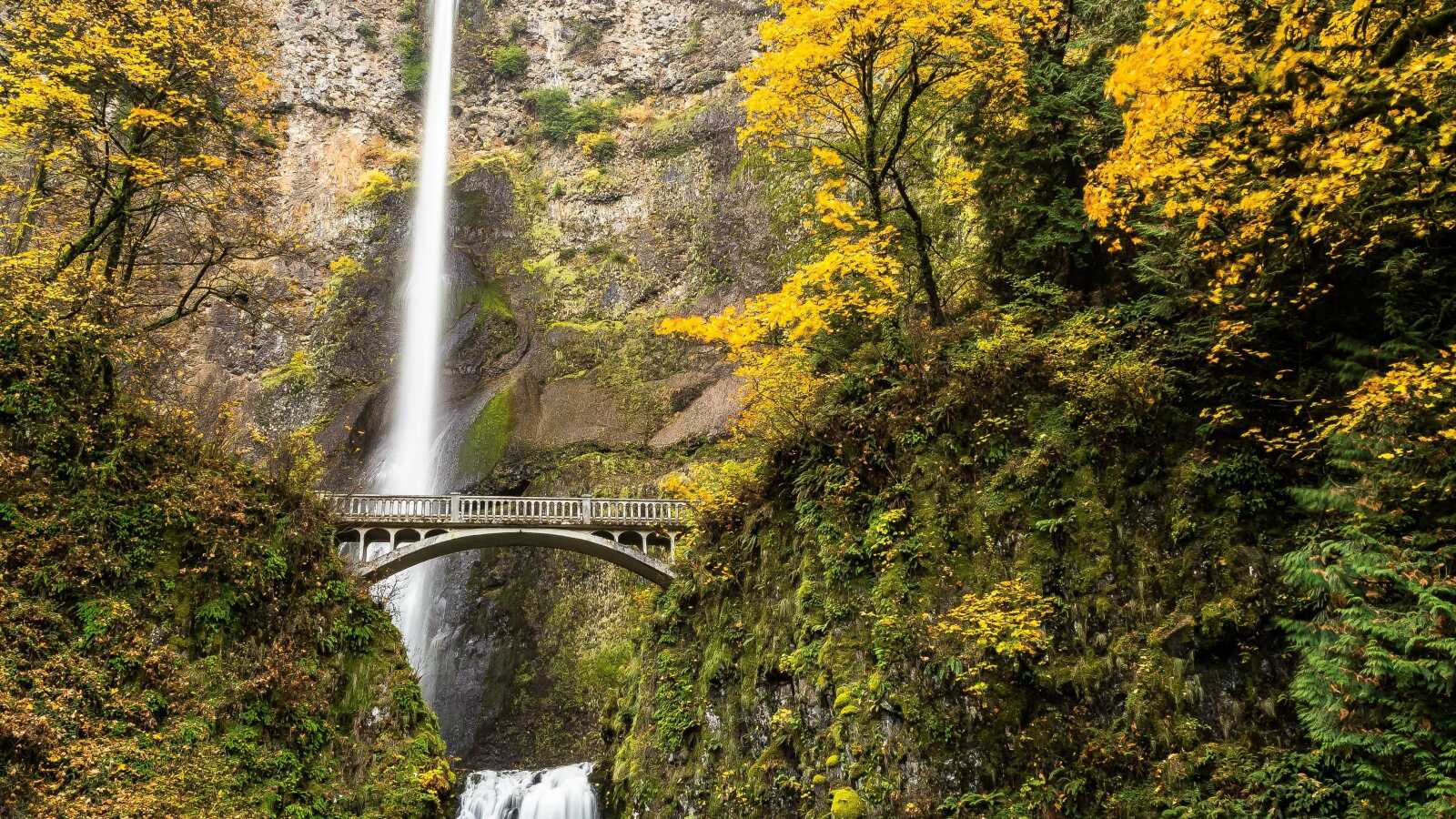 Oregon Wallpapers (45 images) - WallpaperCat