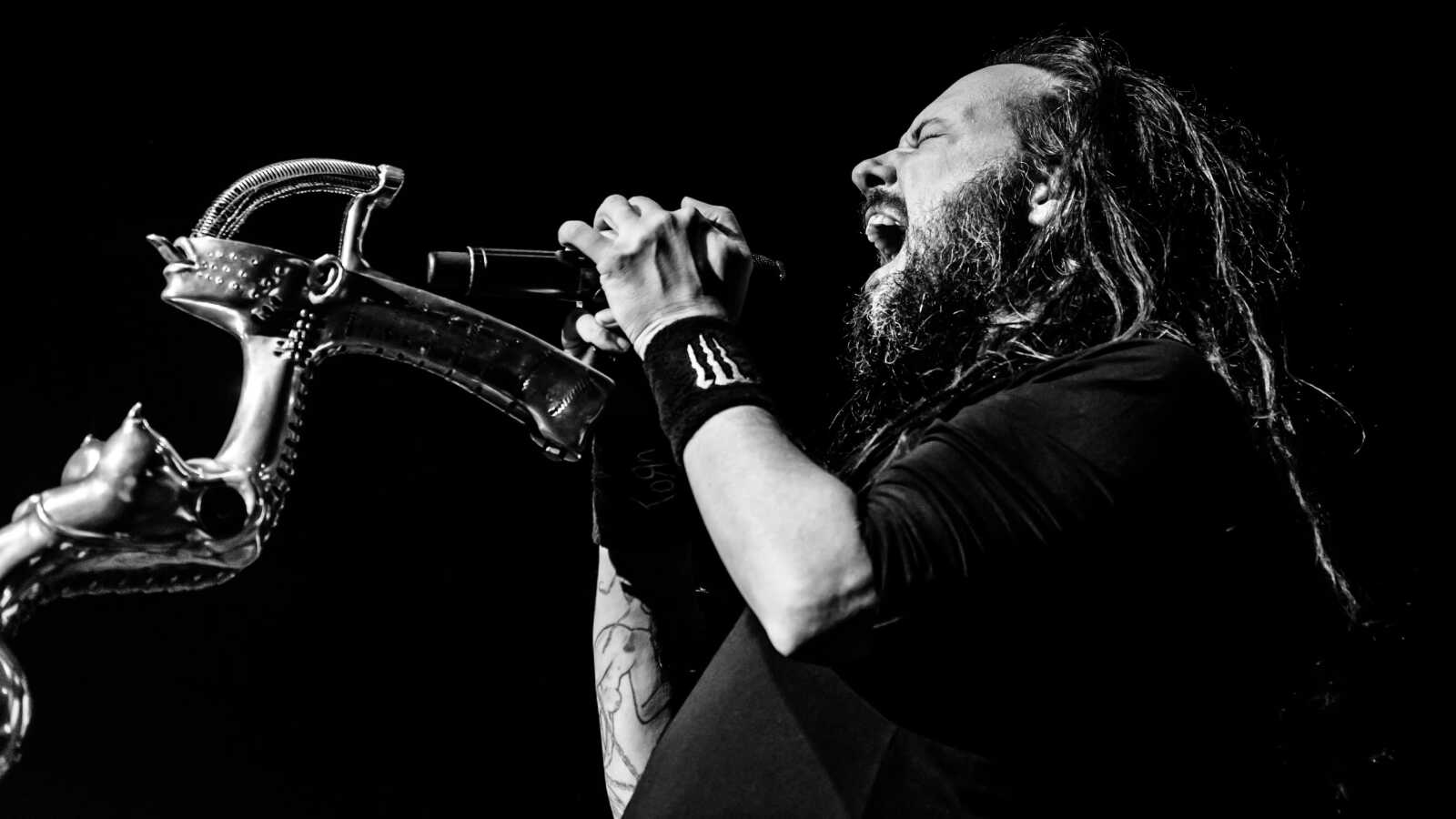 Korn Wallpapers (31 images) - WallpaperCat