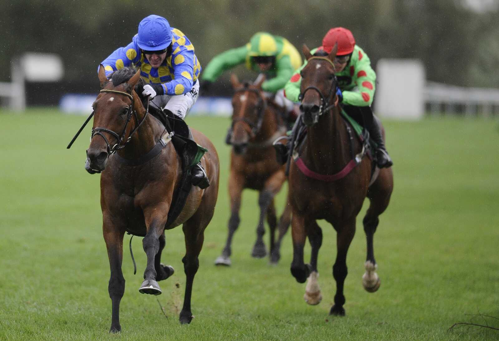 Horse Racing Wallpapers (65 images) - WallpaperCat