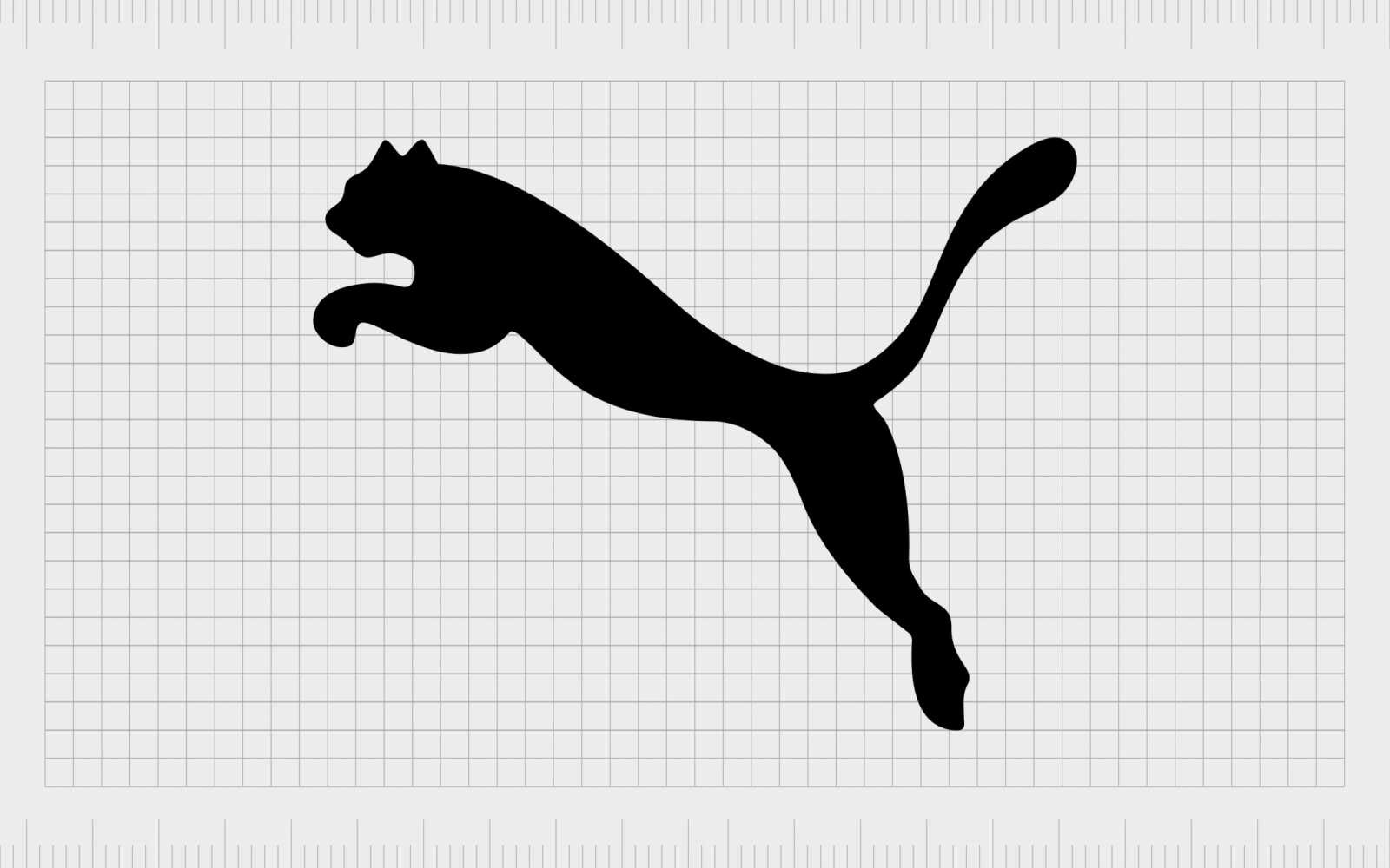Puma Wallpapers (36 images) - WallpaperCat
