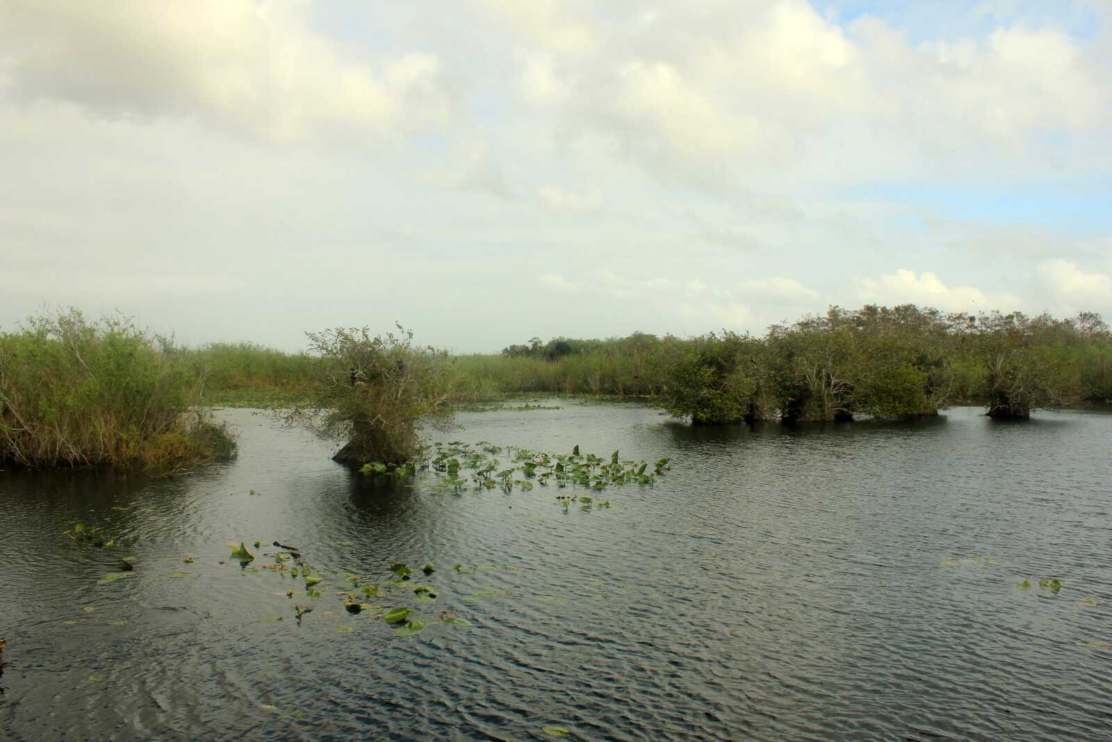 Everglades National Park Wallpapers (51 images) - WallpaperCat