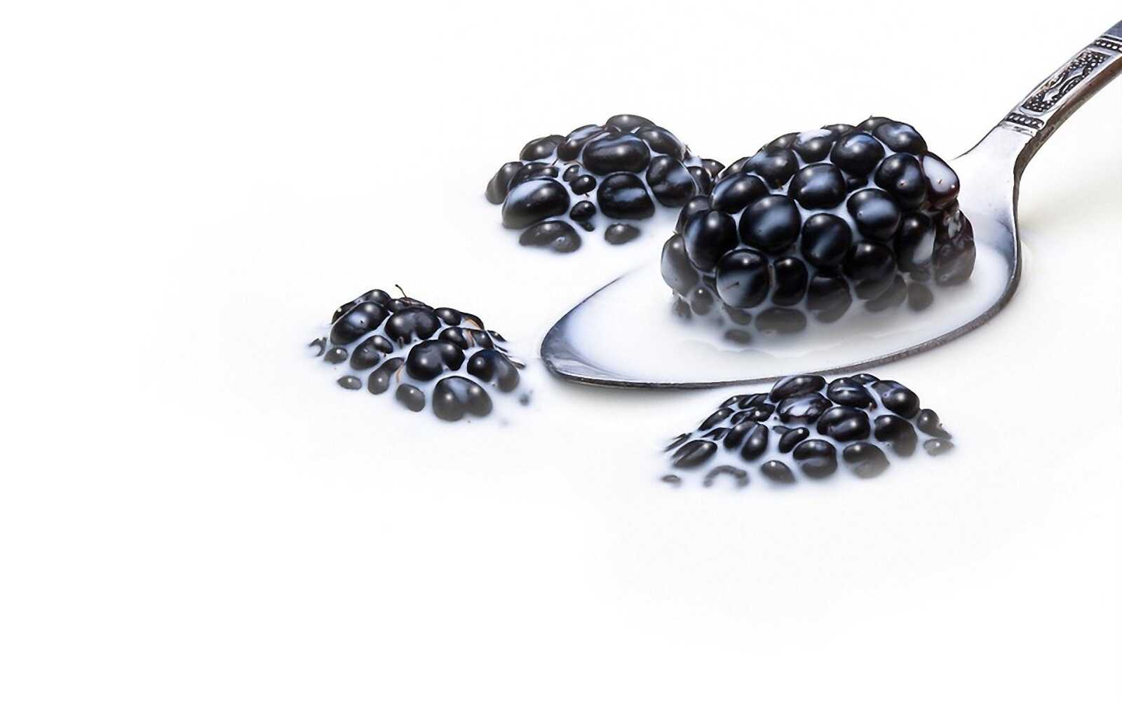 Blackberry Wallpapers (39 images) - WallpaperCat