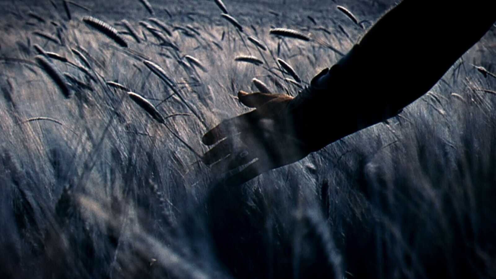 Gladiator Wallpapers (25 images) - WallpaperCat