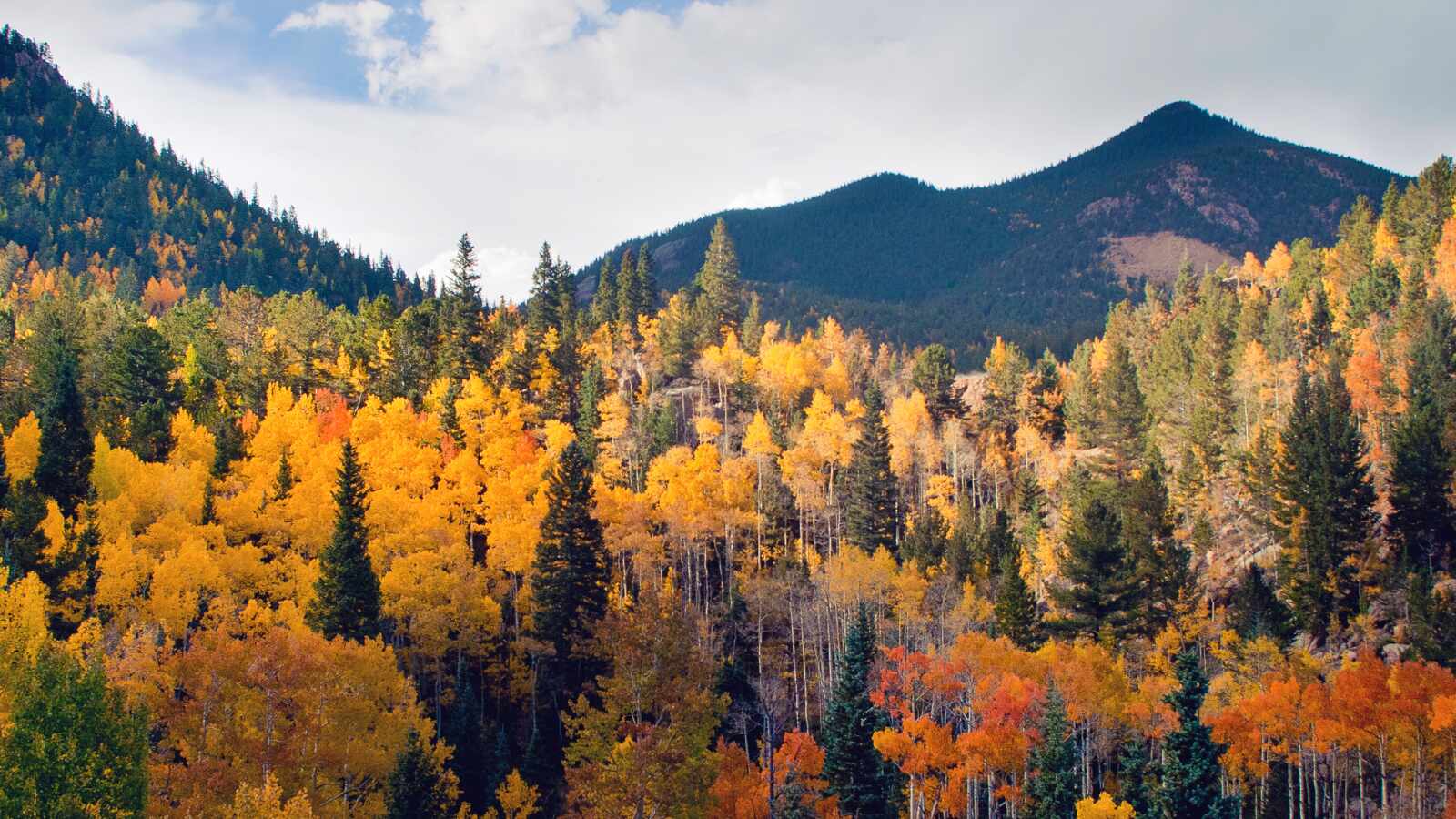 Fall Wallpapers (63 images) - WallpaperCat