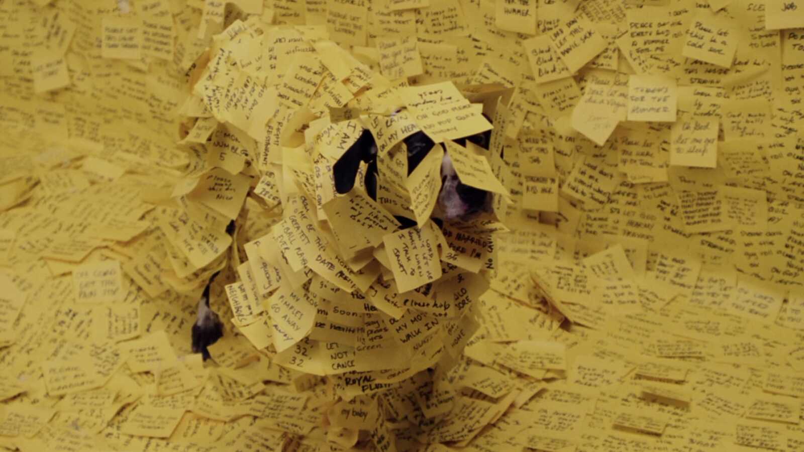 Bruce Almighty Wallpapers (12 images) - WallpaperCat