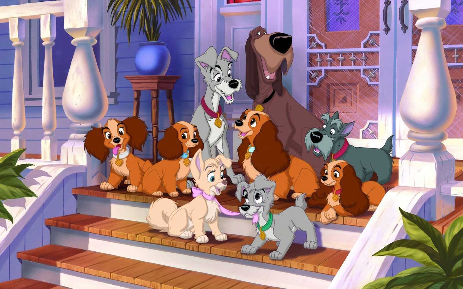 Lady and the Tramp Wallpapers (47 images) - WallpaperCat