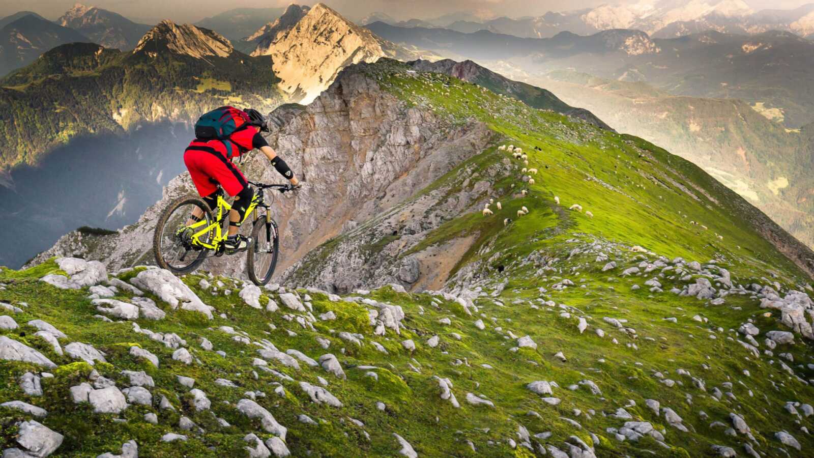 Cycling Mountain Bike Wallpapers (65 images) - WallpaperCat