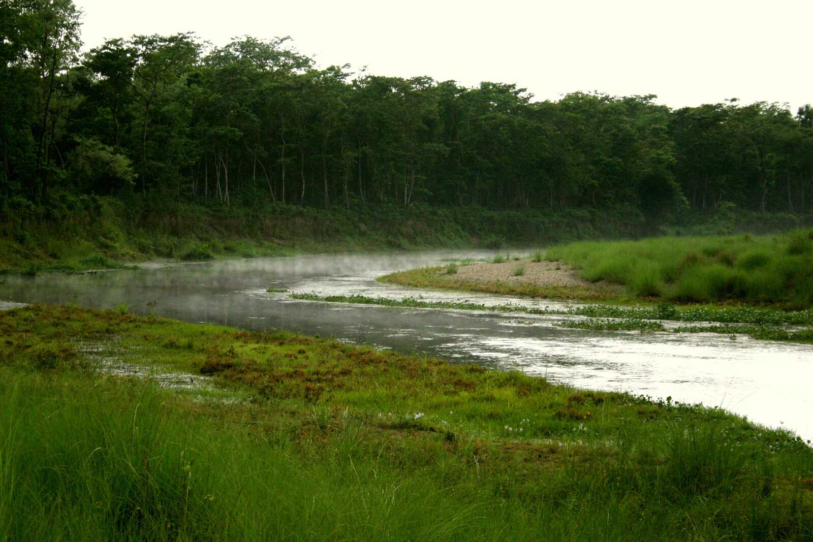 Chitwan National Park Wallpapers (23 images) - WallpaperCat