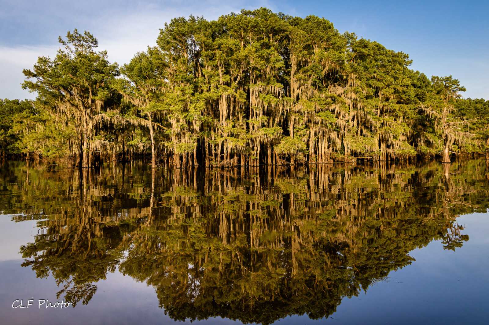 Everglades National Park Wallpapers (51 images) - WallpaperCat