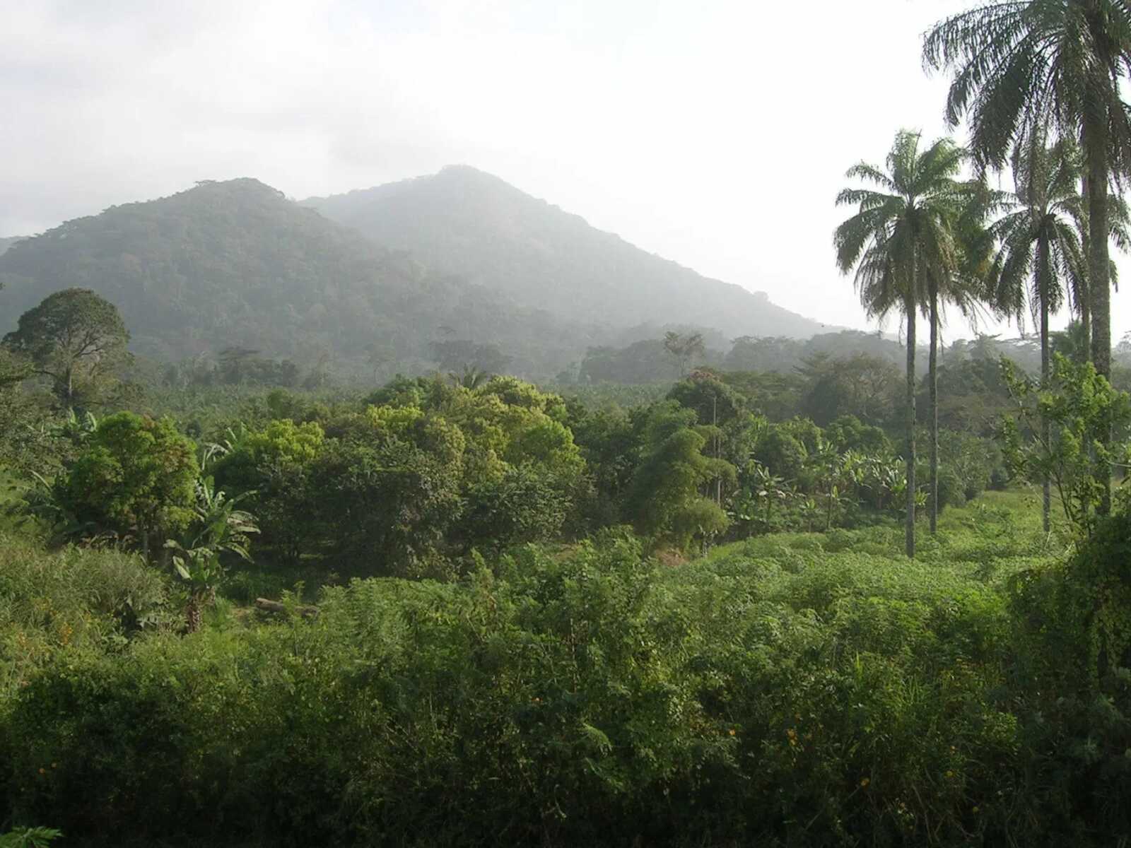 Equatorial Guinea Wallpapers (20 images) - WallpaperCat