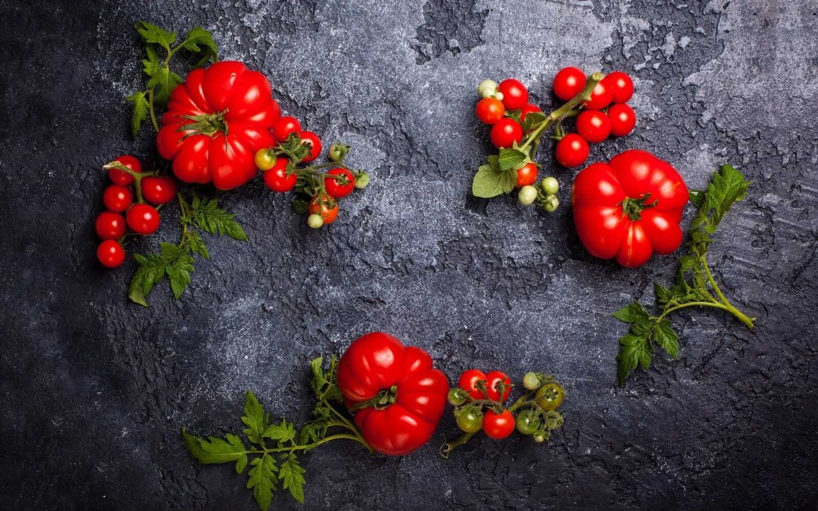 Tomato Wallpapers (70 images) - WallpaperCat