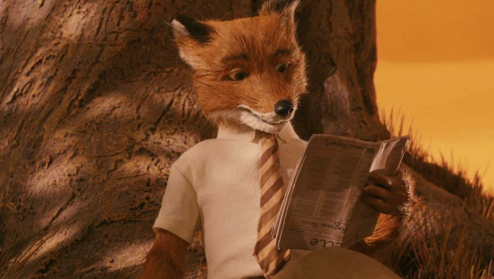 Fantastic Mr. Fox Wallpapers (33 images) - WallpaperCat