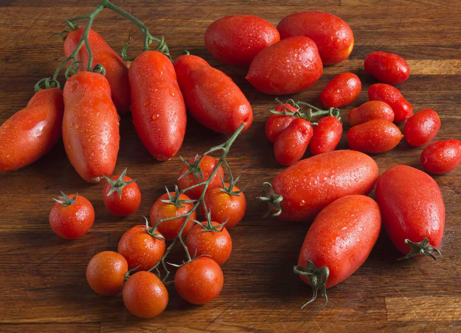 Tomato Wallpapers (70 images) - WallpaperCat