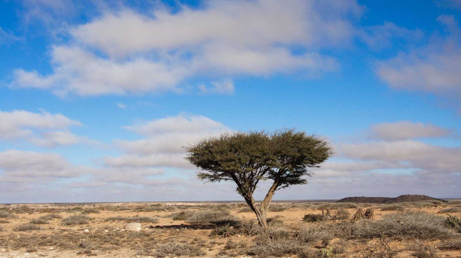 Somalia Wallpapers (25 images) - WallpaperCat