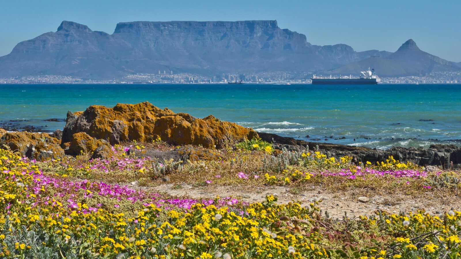 Table Mountain Wallpapers (41 images) - WallpaperCat