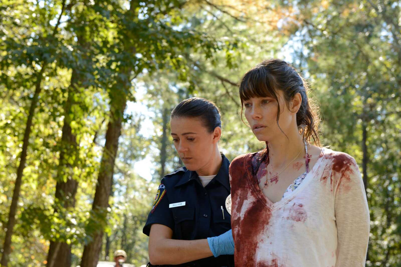 The Sinner (TV Series) Wallpapers (35 images) - WallpaperCat