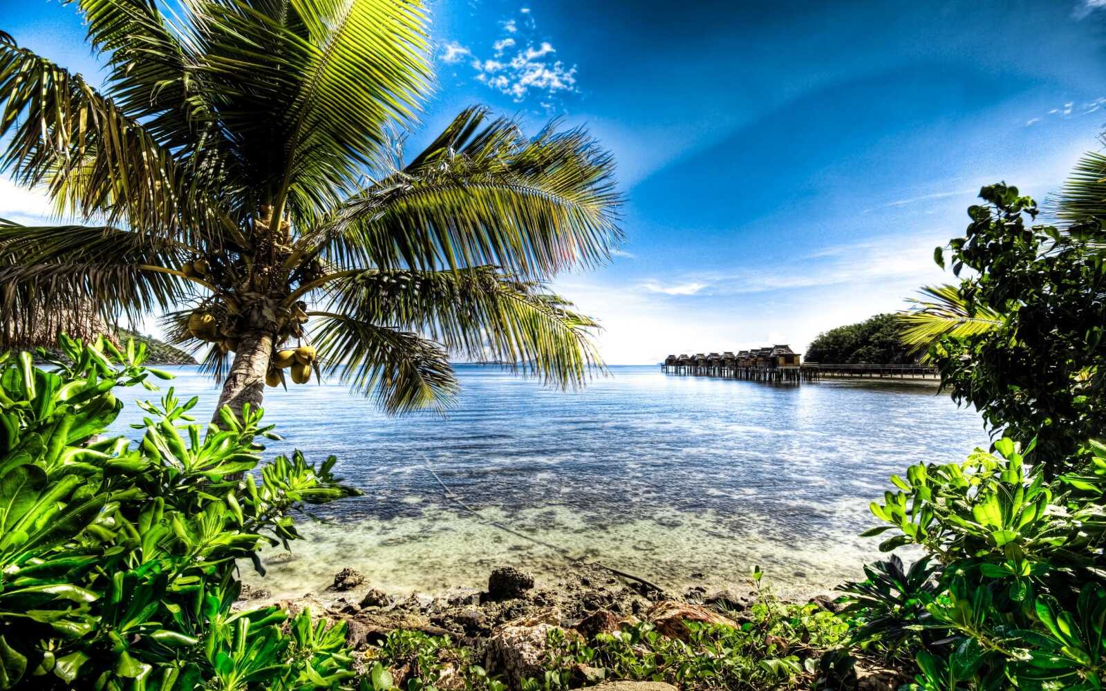 Fiji Wallpapers (49 images) - WallpaperCat