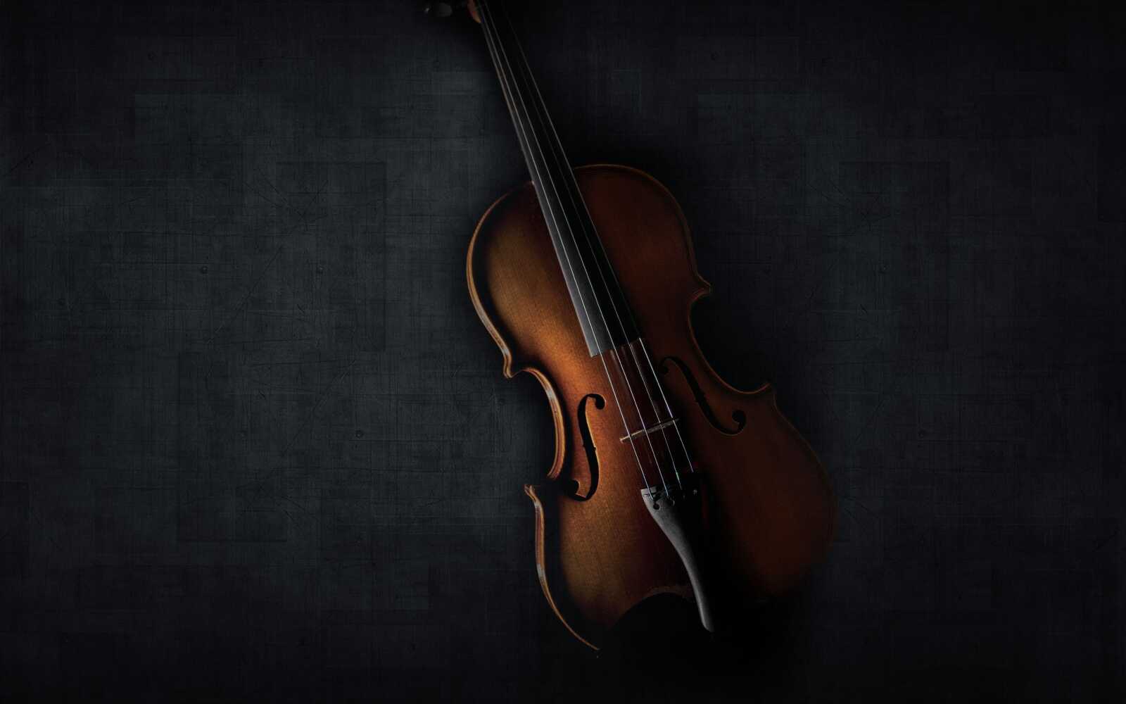 Violin Wallpapers (47 images) - WallpaperCat