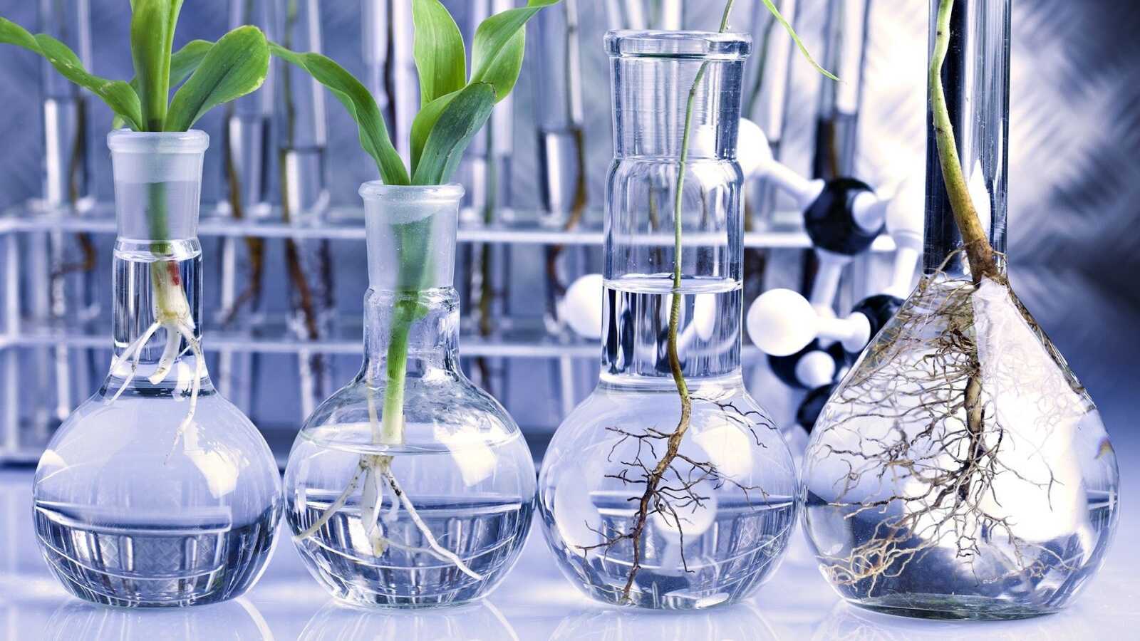 Biology Wallpapers (42 images) - WallpaperCat