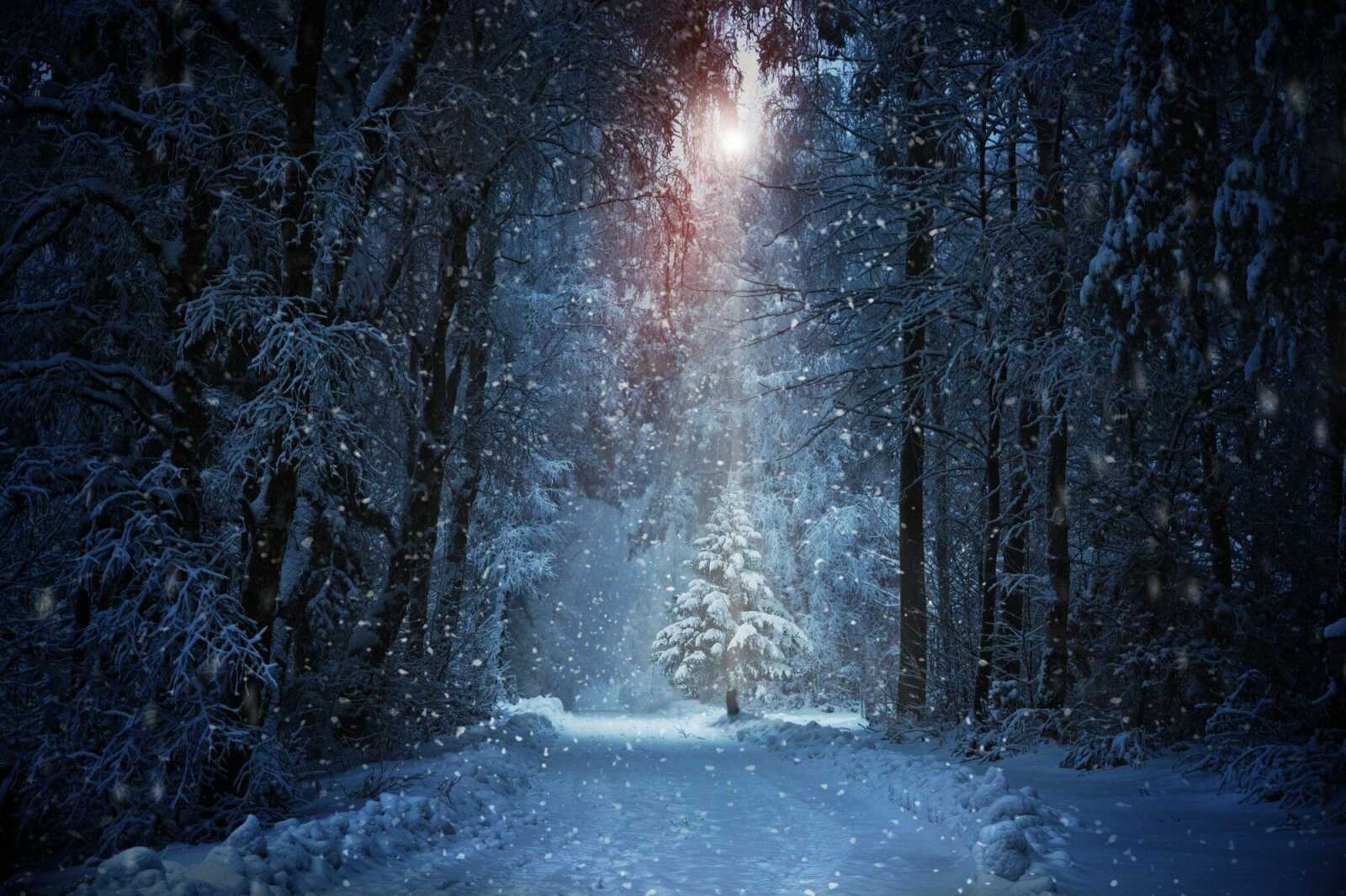 Snowfall Wallpapers (28 images) - WallpaperCat