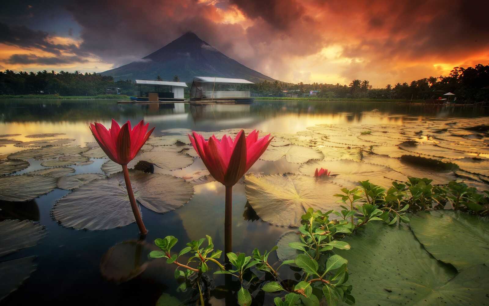Mayon Volcano Wallpapers (23 images) - WallpaperCat