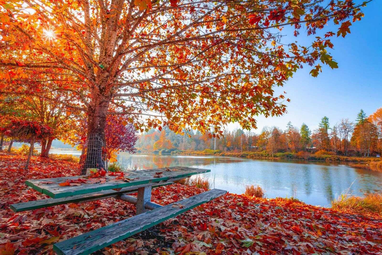 Autumn Wallpapers (47 images) - WallpaperCat