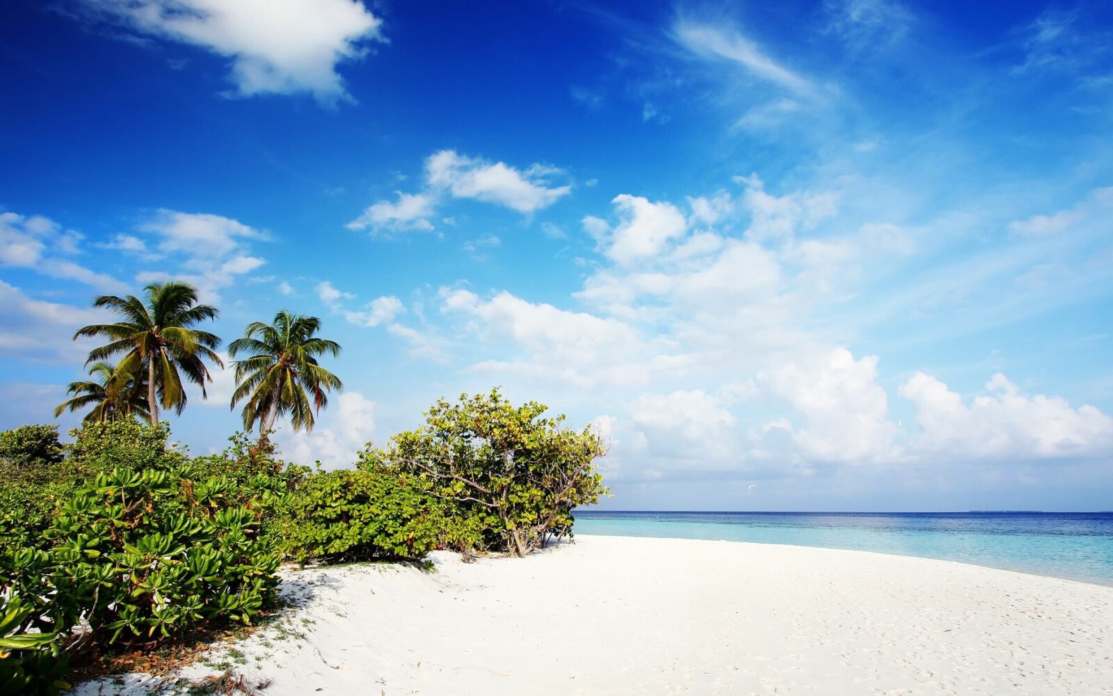 Beach Wallpapers (35 images) - WallpaperCat