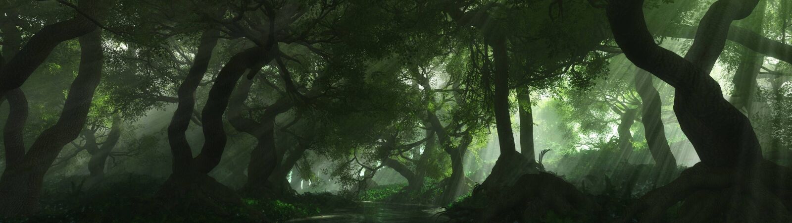 Green Forest Wallpapers (59 images) - WallpaperCat