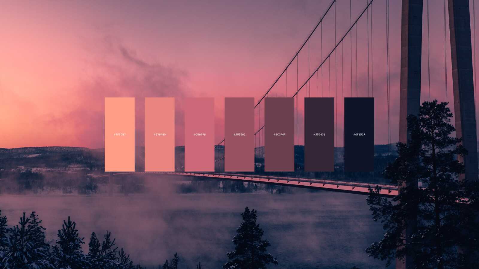 Color Palette Wallpapers (40 images) - WallpaperCat