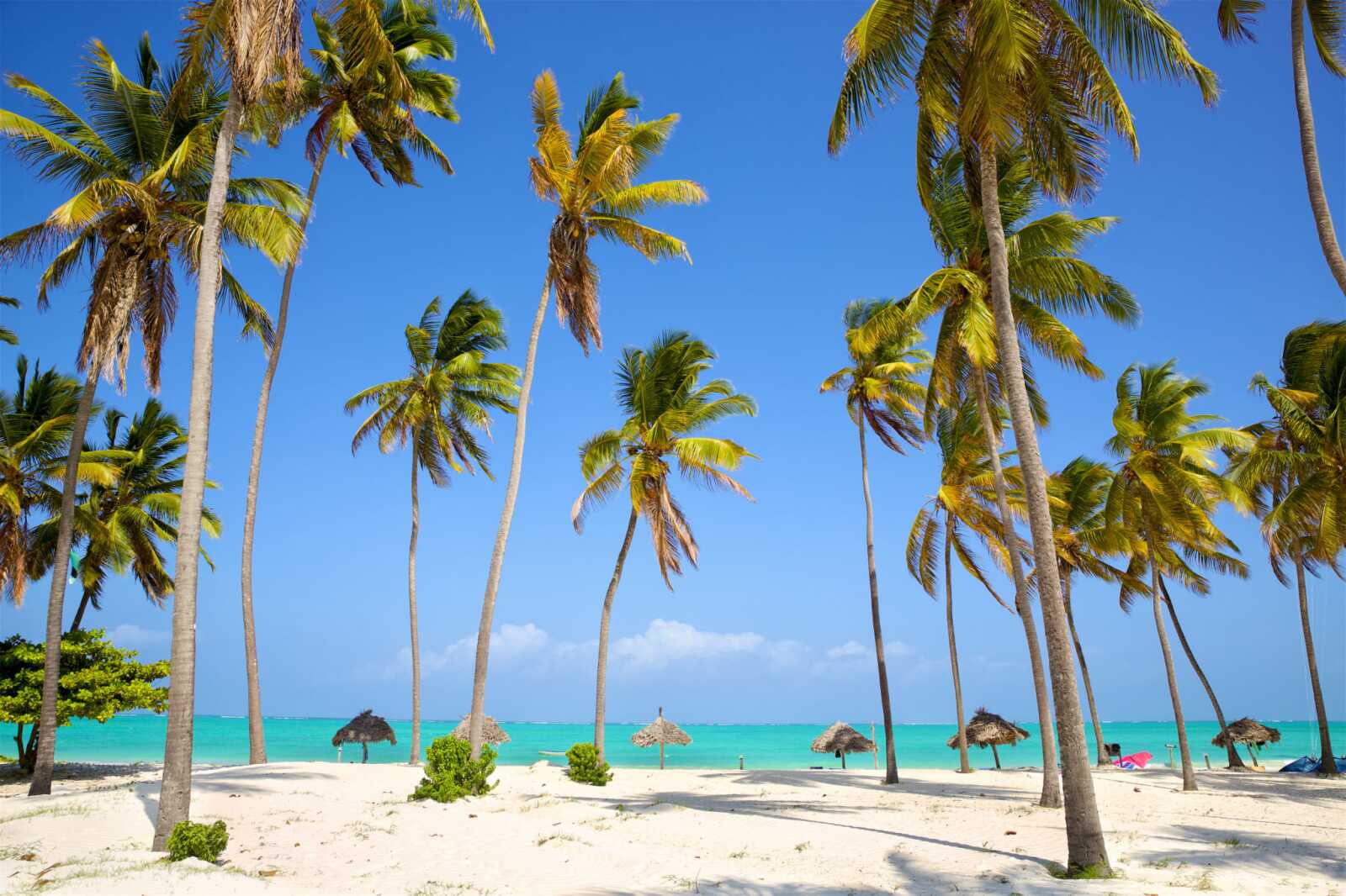 Zanzibar Wallpapers (83 images) - WallpaperCat