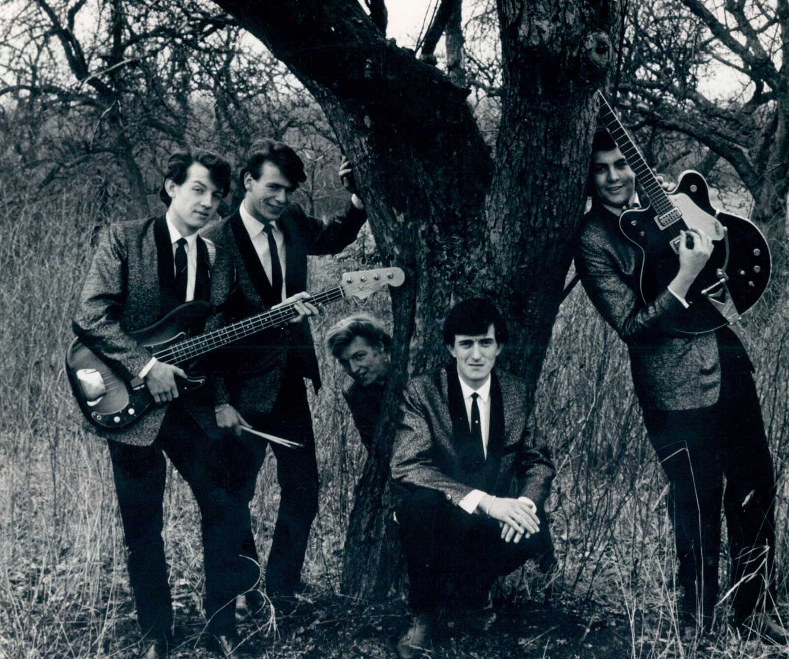 The Animals (Band) Wallpapers (6 images) - WallpaperCat