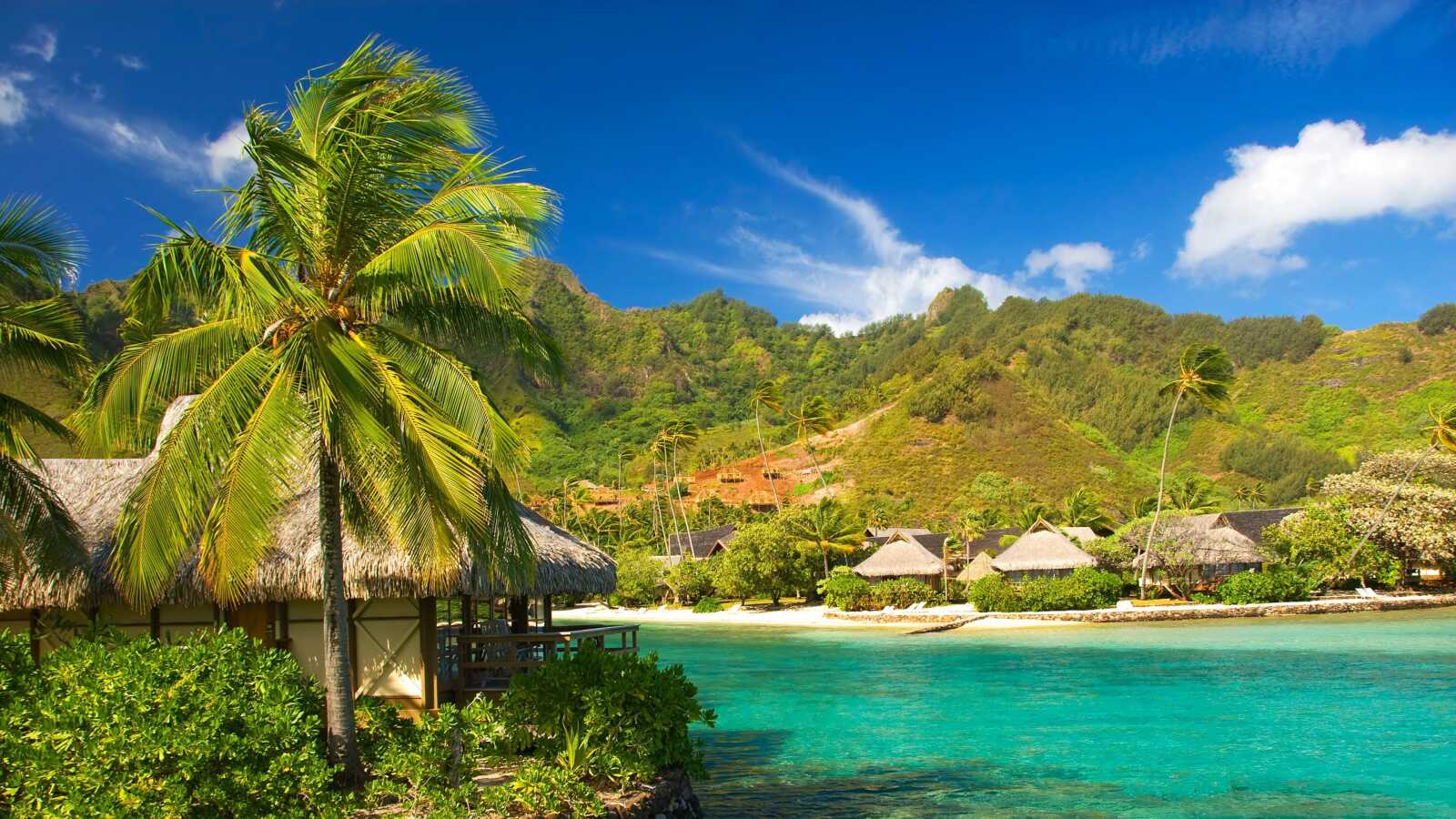 Palawan Wallpapers (76 images) - WallpaperCat