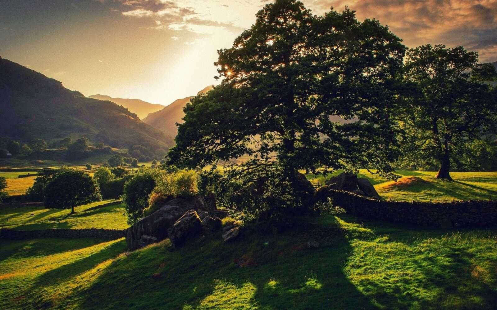 England Wallpapers (39 images) - WallpaperCat