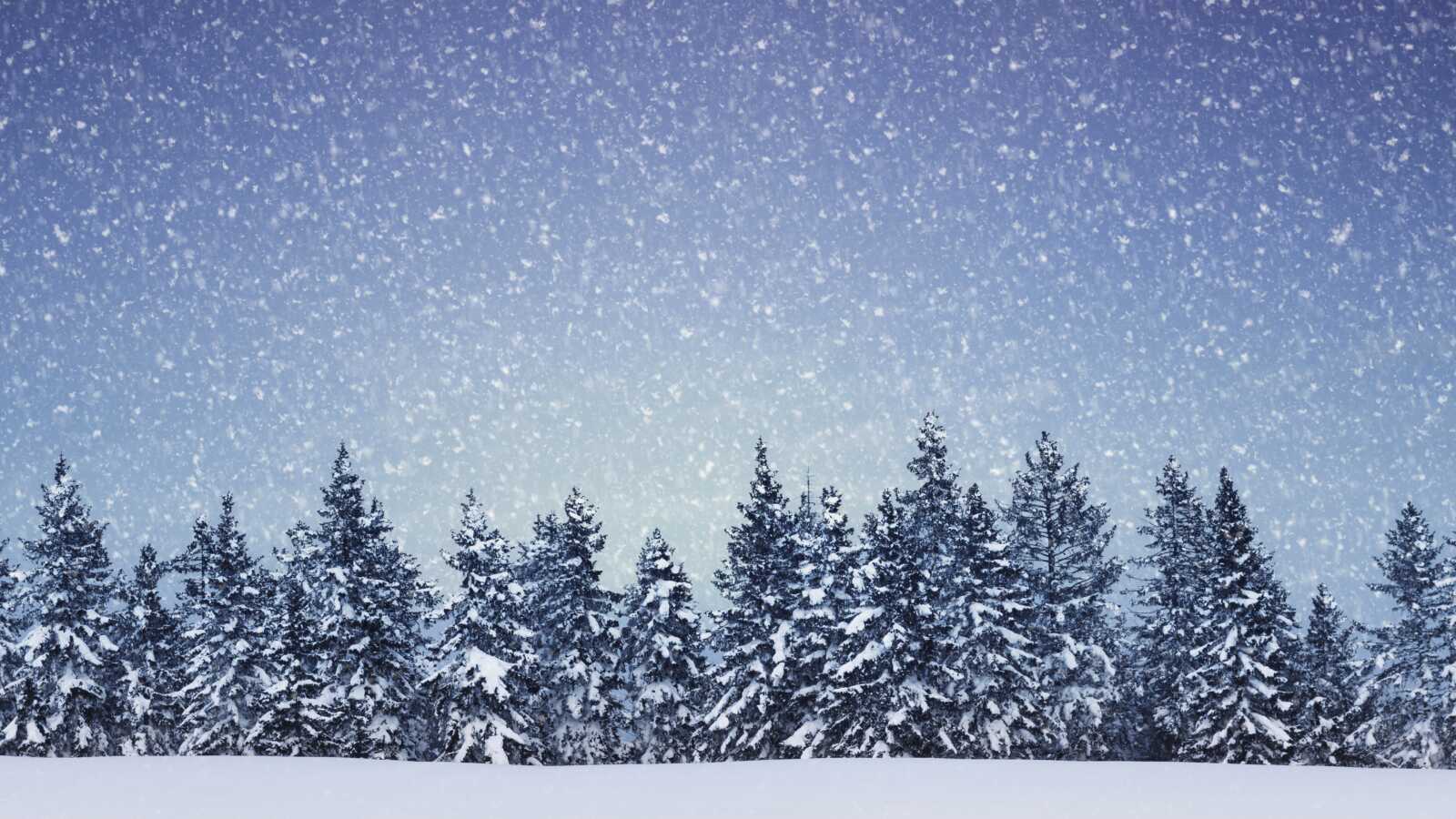 Ice Storm Wallpapers (18 images) - WallpaperCat