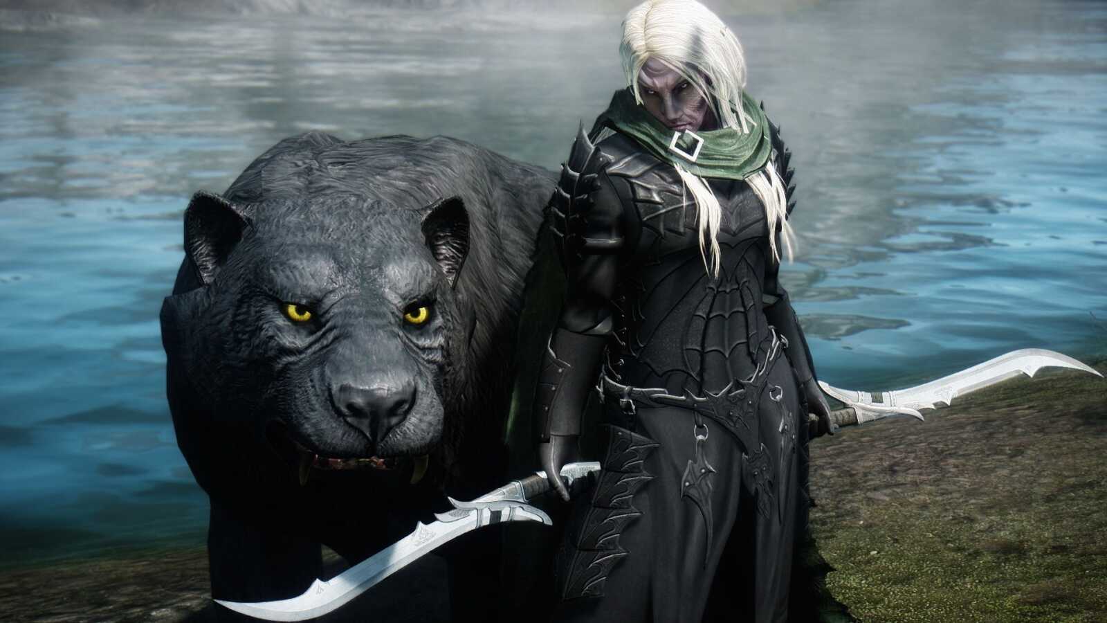 Legend of Drizzt Wallpapers (25 images) - WallpaperCat