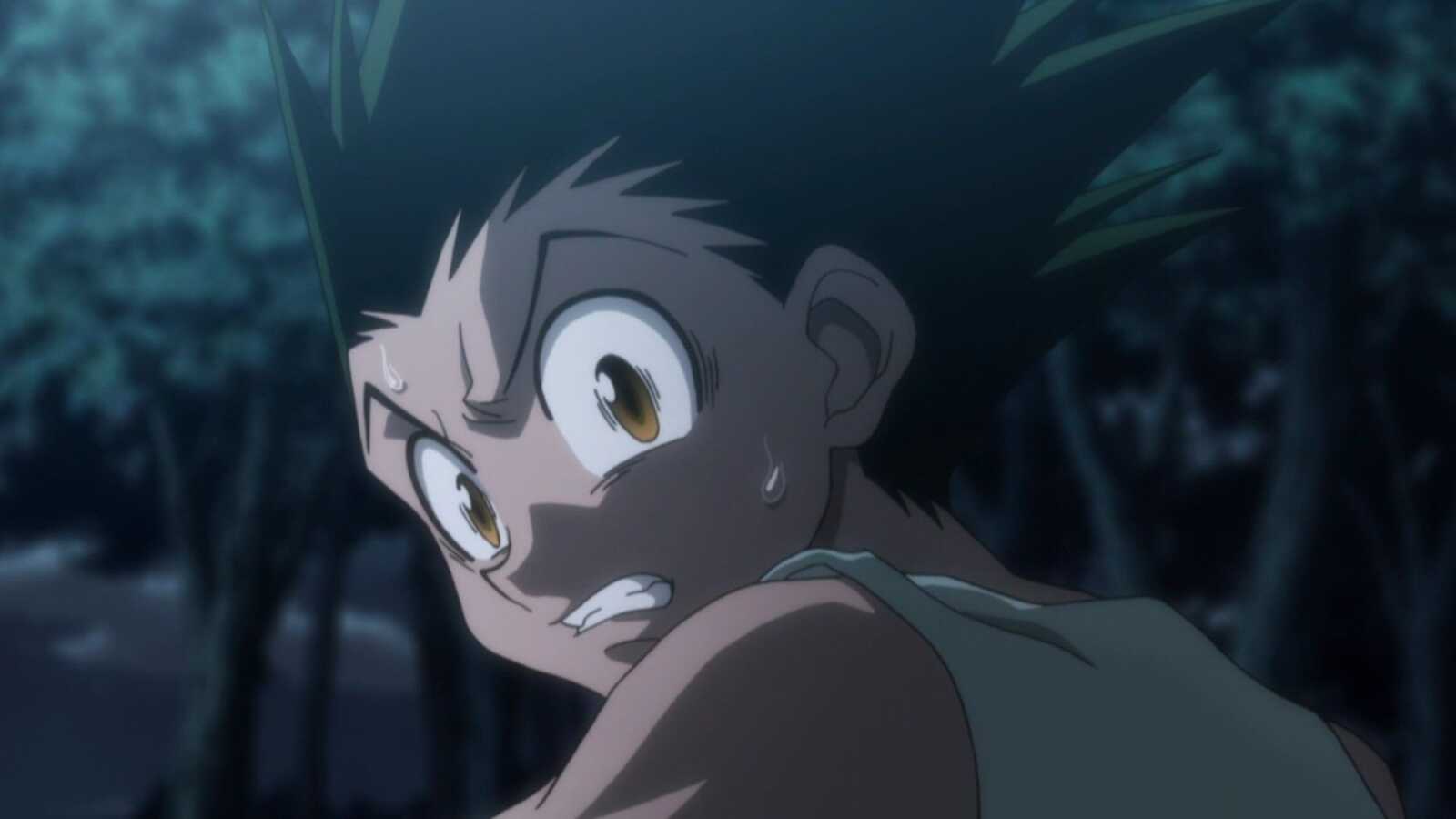 Gon Freecss Wallpapers (28 images) - WallpaperCat