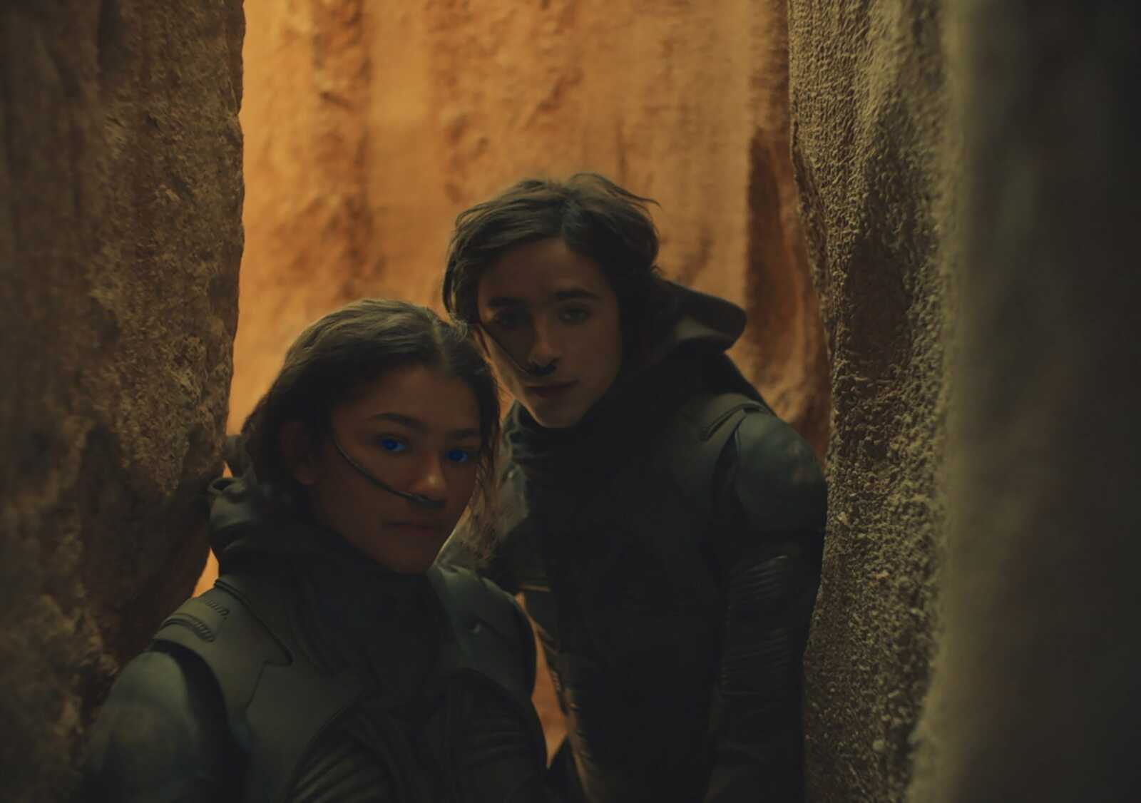 Chani (Dune) Wallpapers (27 images) - WallpaperCat