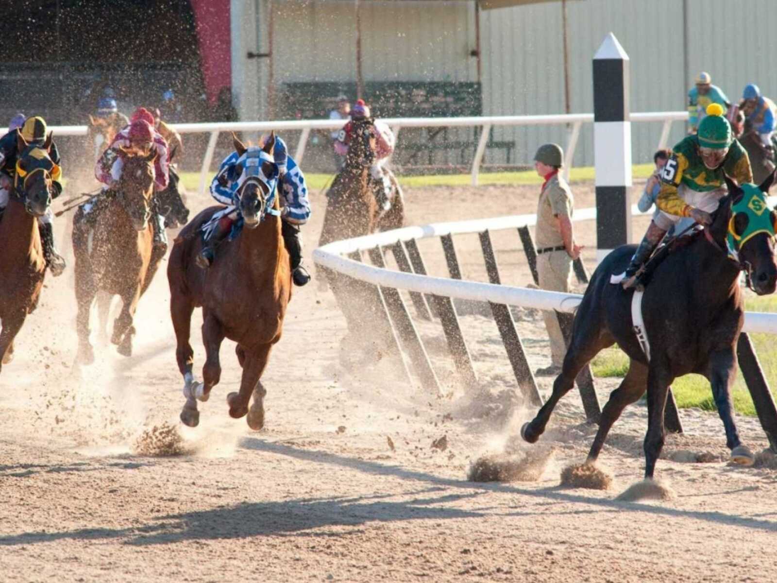 Secretariat Wallpapers (10 images) - WallpaperCat