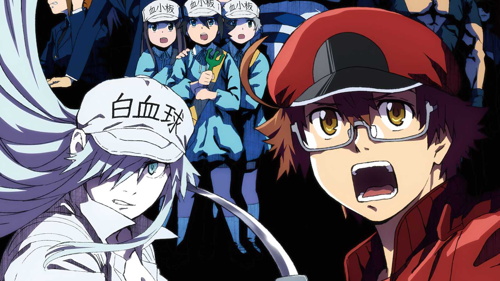 Cells at Work! Code Black Wallpapers (34 images) - WallpaperCat
