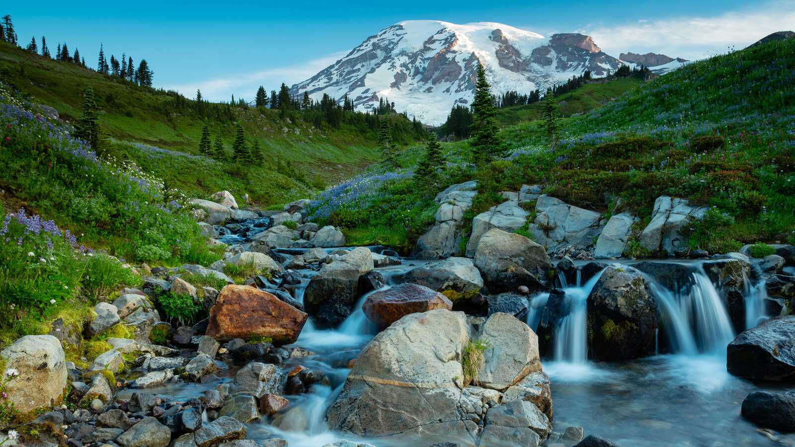 Mount Rainier National Park Wallpapers (50 images) - WallpaperCat