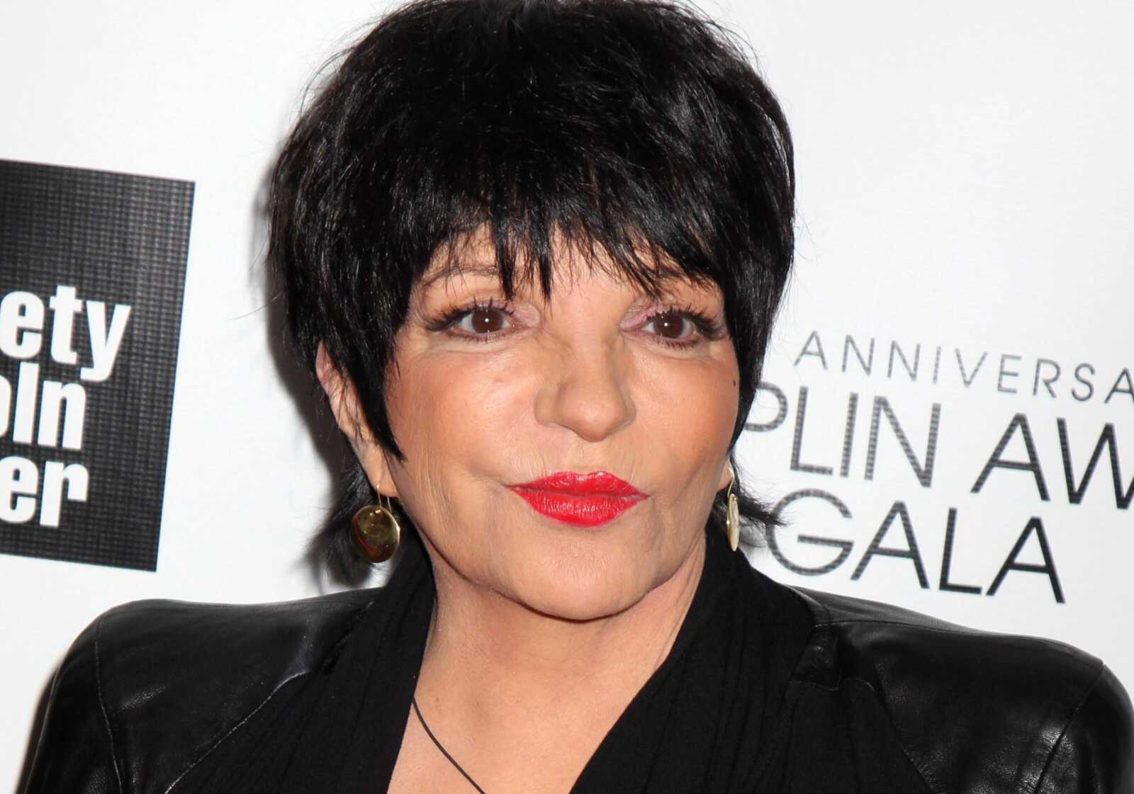 Liza Minnelli Wallpapers (23 images) - WallpaperCat