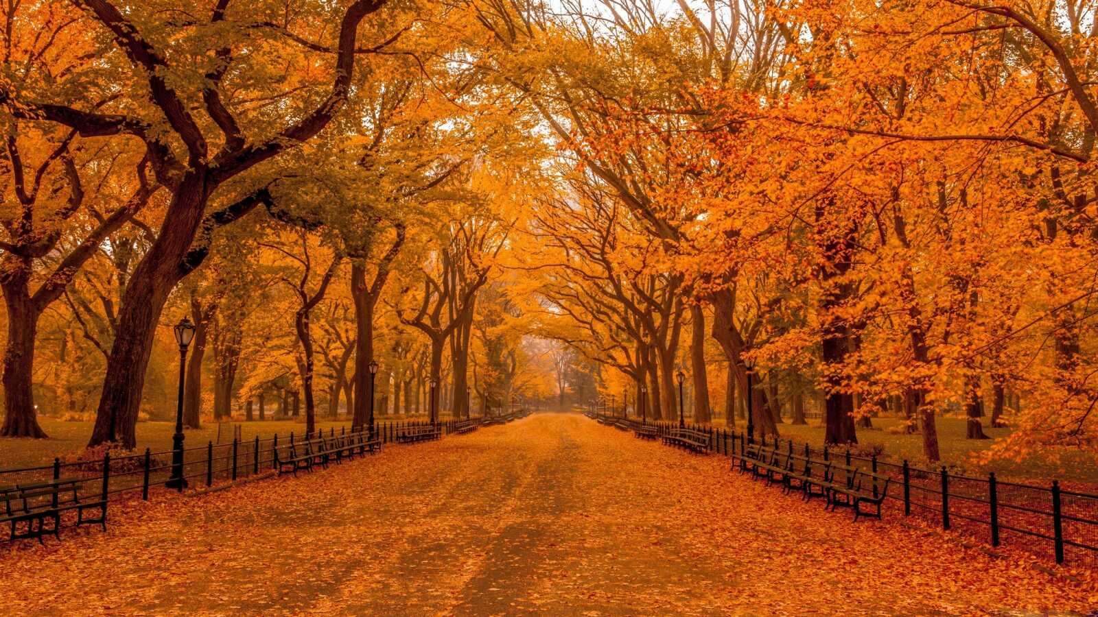 Autumn Wallpapers (47 images) - WallpaperCat