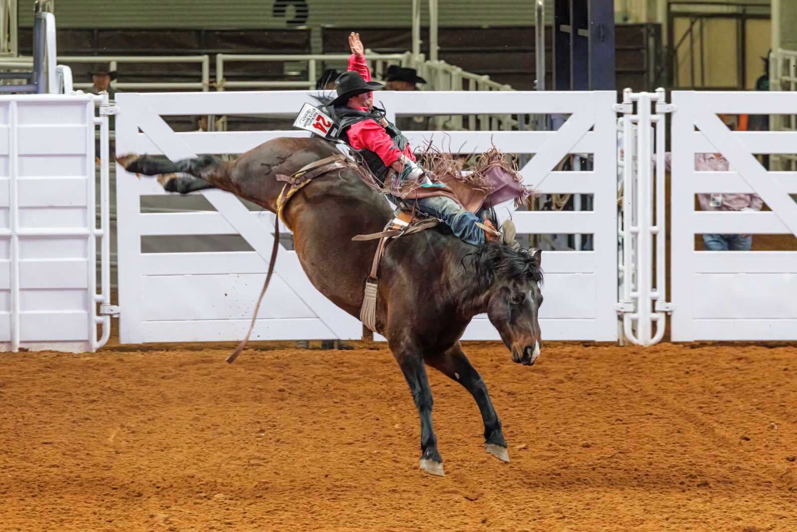 Rodeo Wallpapers (29 images) - WallpaperCat