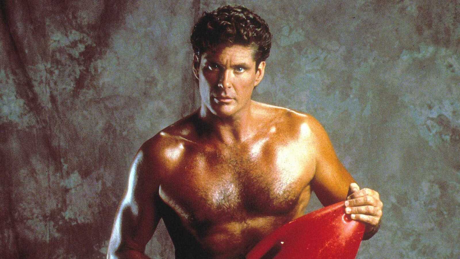 David Hasselhoff Wallpapers (37 images) - WallpaperCat
