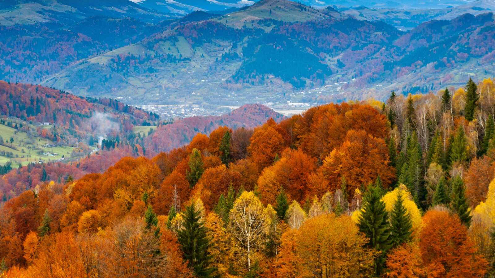 Fall Wallpapers (63 images) - WallpaperCat